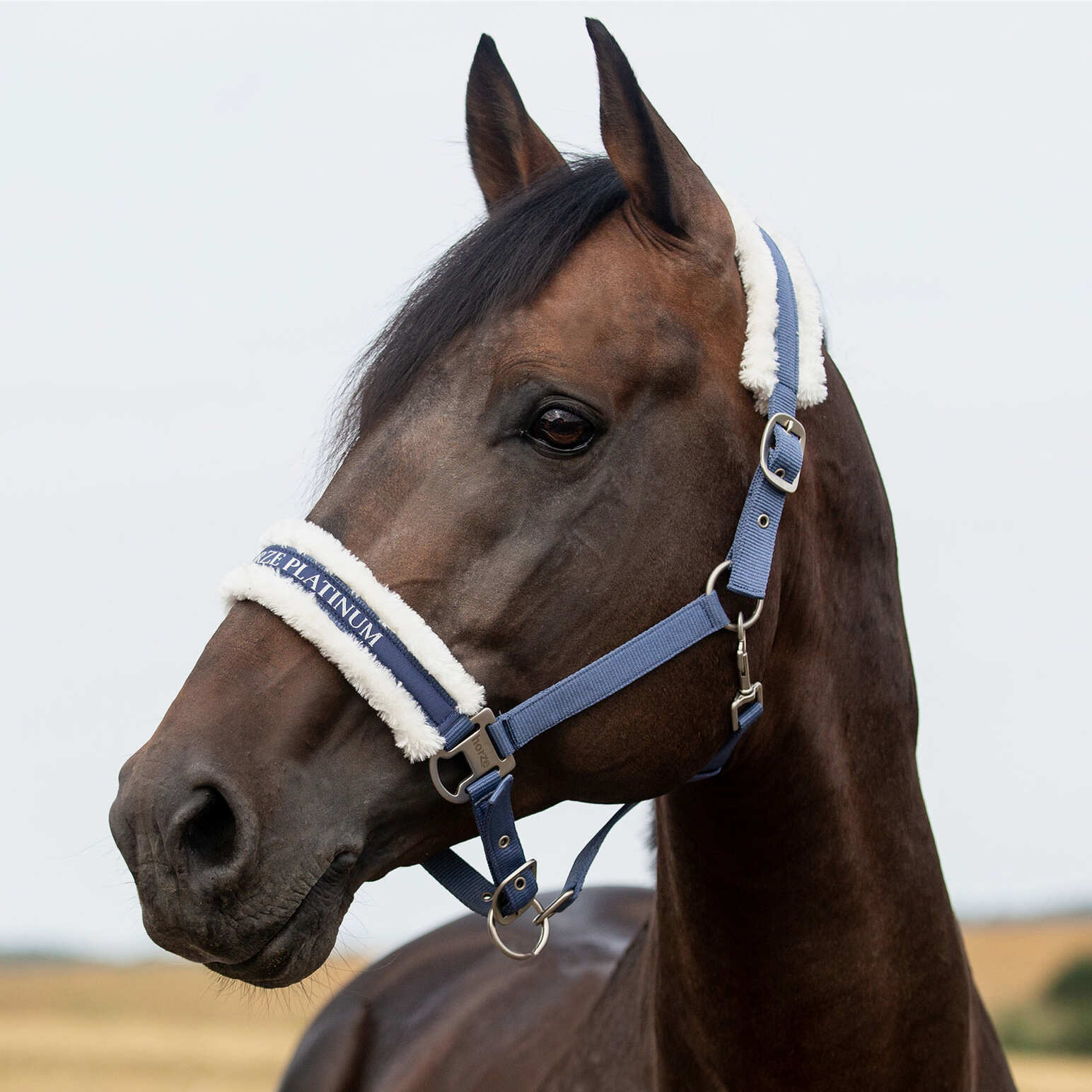 Horze Howard Halter – Equine And Pet