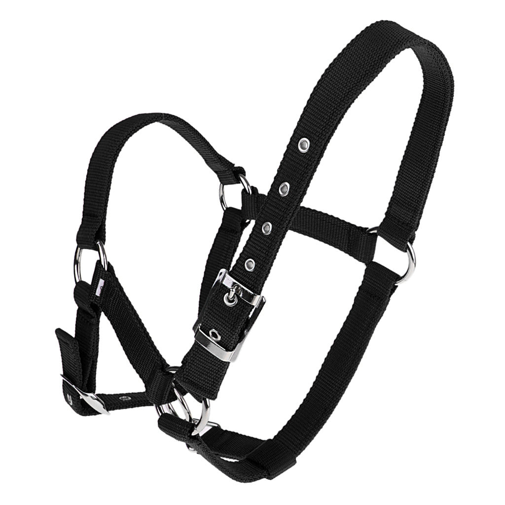 Horse Halter Nylon Webbing – Equine And Pet