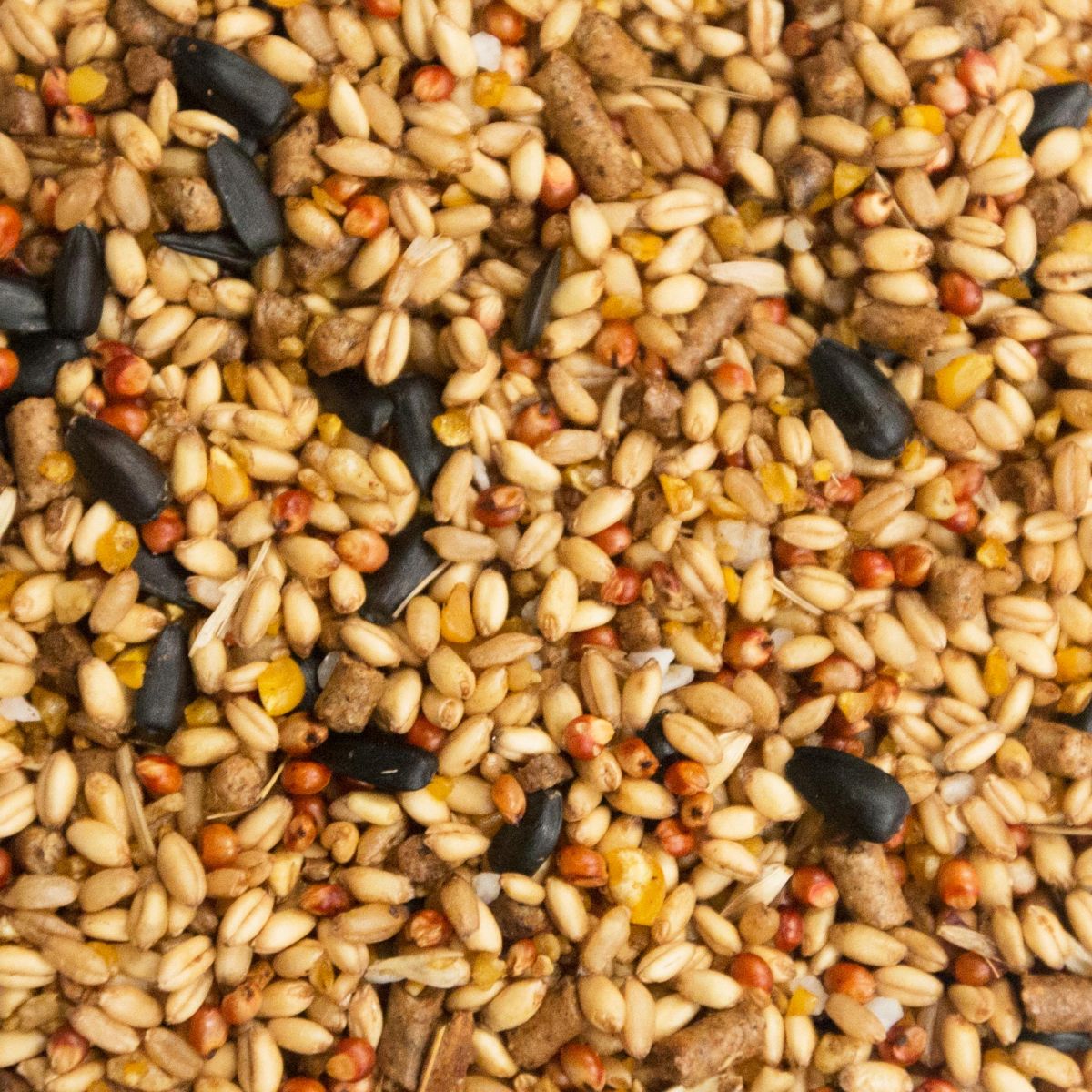 Poultry Grain Scratch Mix – Equine And Pet