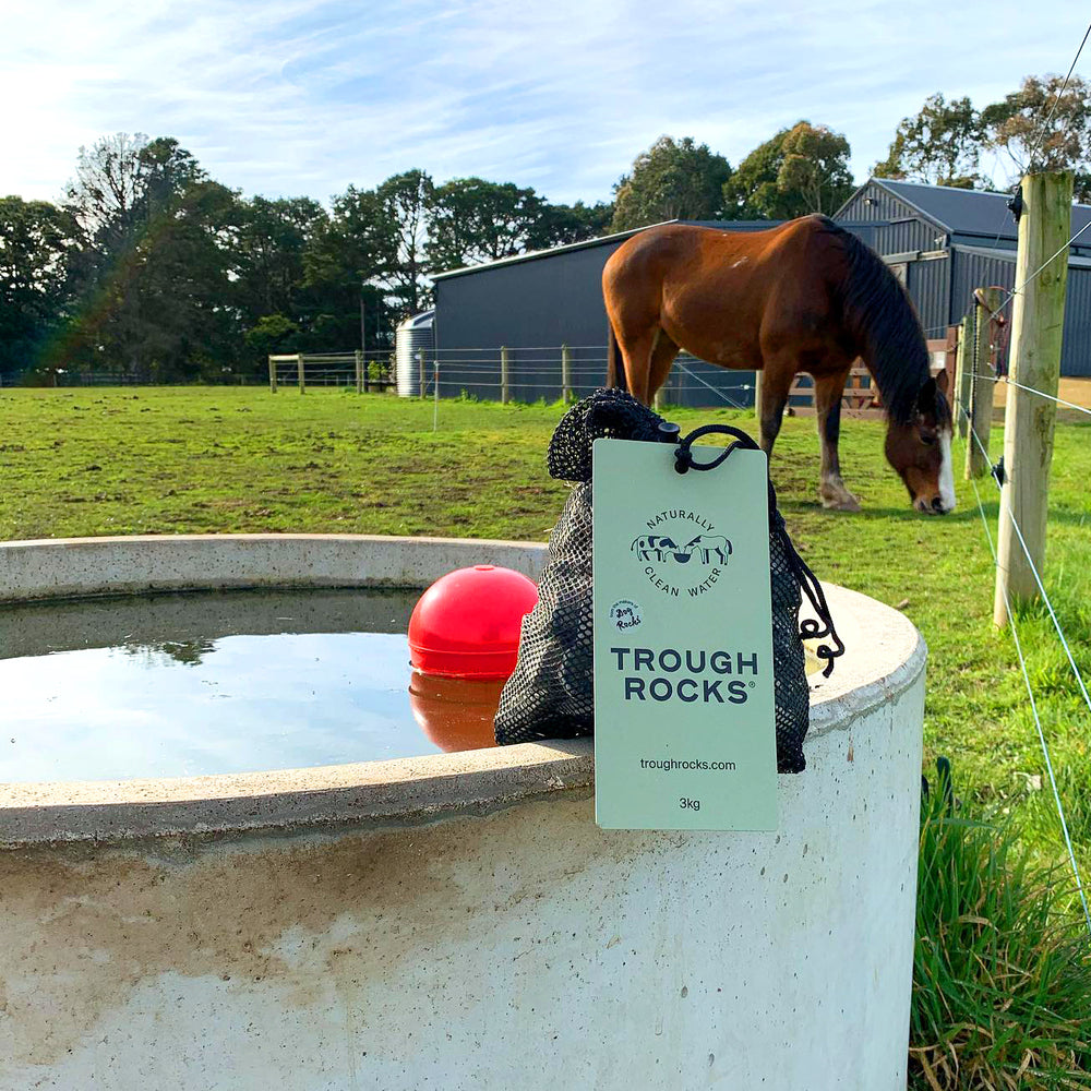 Trough Rocks 3kg Keeps Troughs Clean – Equine And Pet