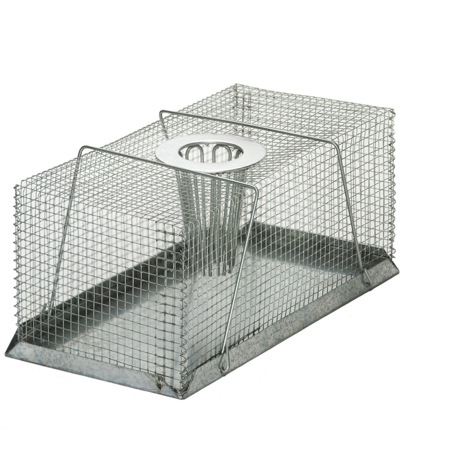 Humane Top Entry Funnel Giant Mouse / Rat Trap Rodent Multi Catch ...