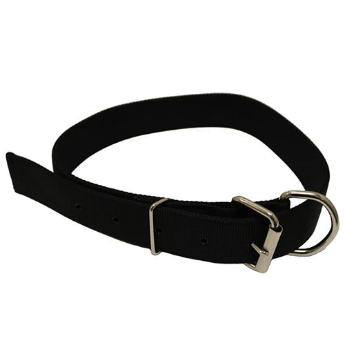 Nylon Webbing Calf Collar – Equine And Pet